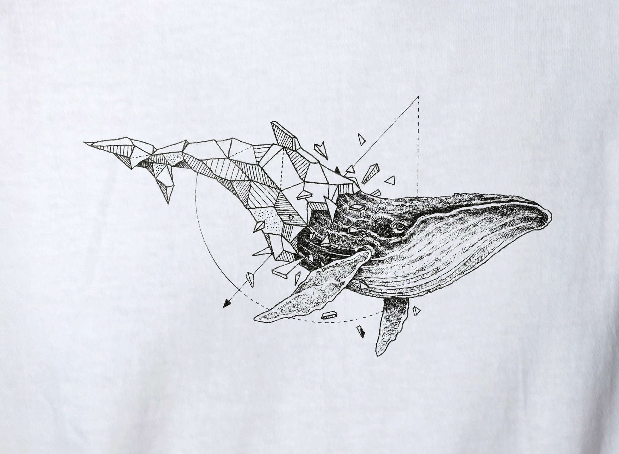 Geometric Beasts | Whale : Kerby Rosanes : Store
