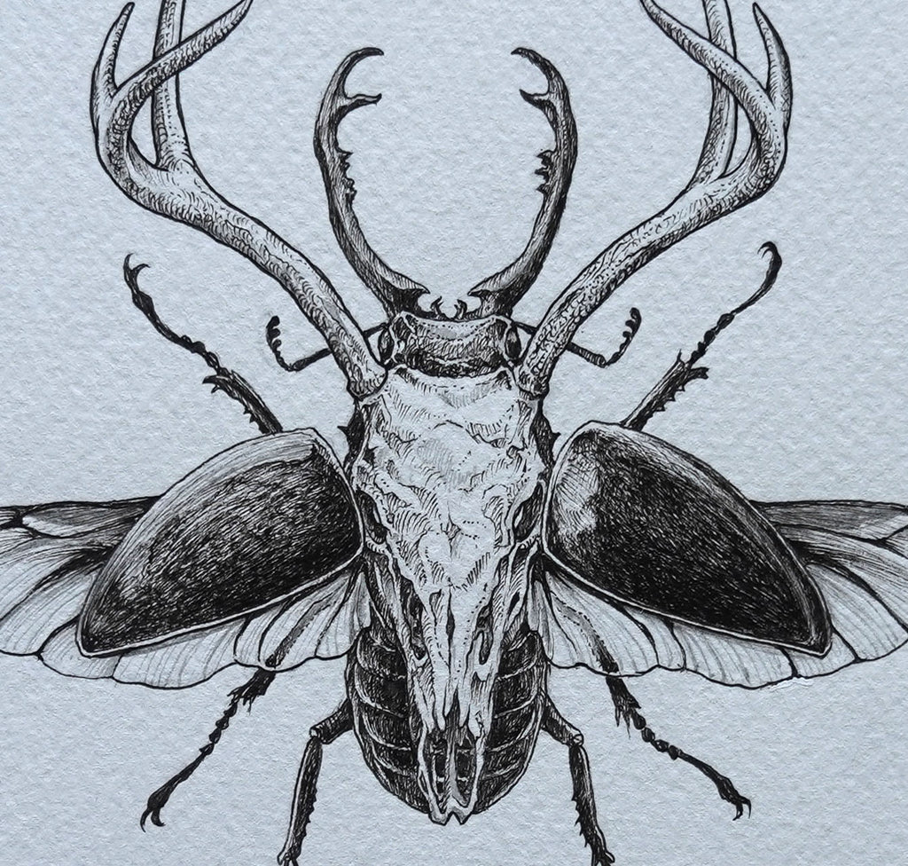 Stag Beetle : Kerby Rosanes : Store
